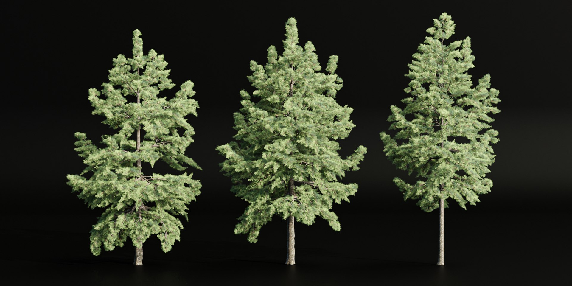 3D Conifer Trees Collection Vol 86-Blender - TurboSquid 2132493