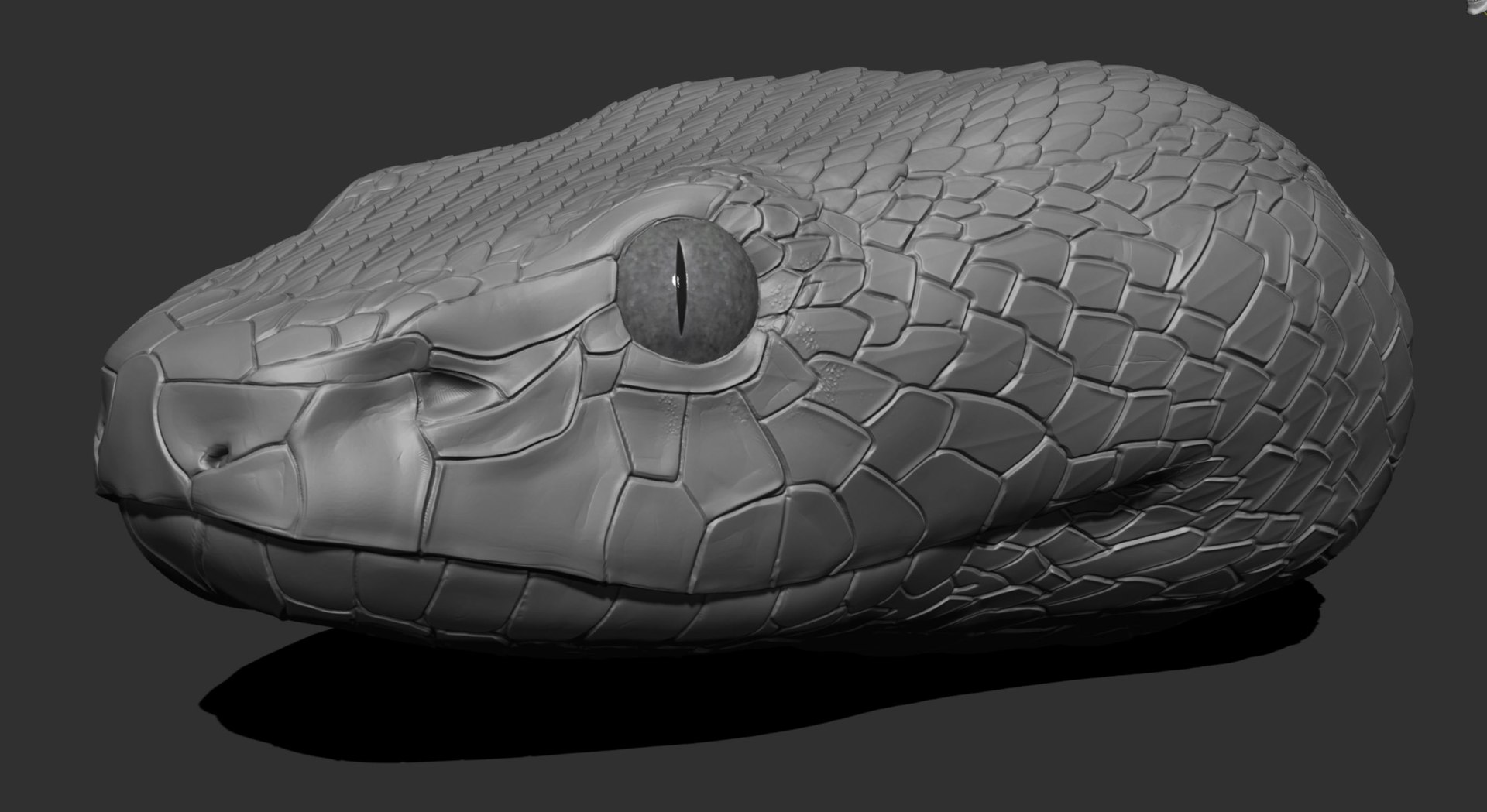 Snake Heads - 3D Printable 3D - TurboSquid 1821440