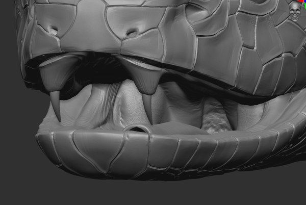 Snake Heads - 3D Printable 3D - TurboSquid 1821440