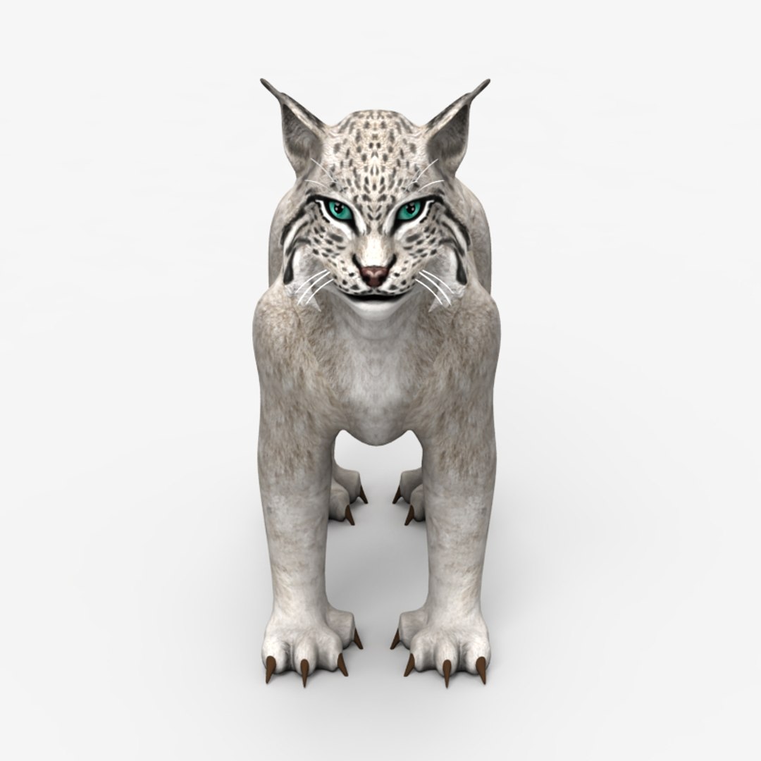 3d Lynx