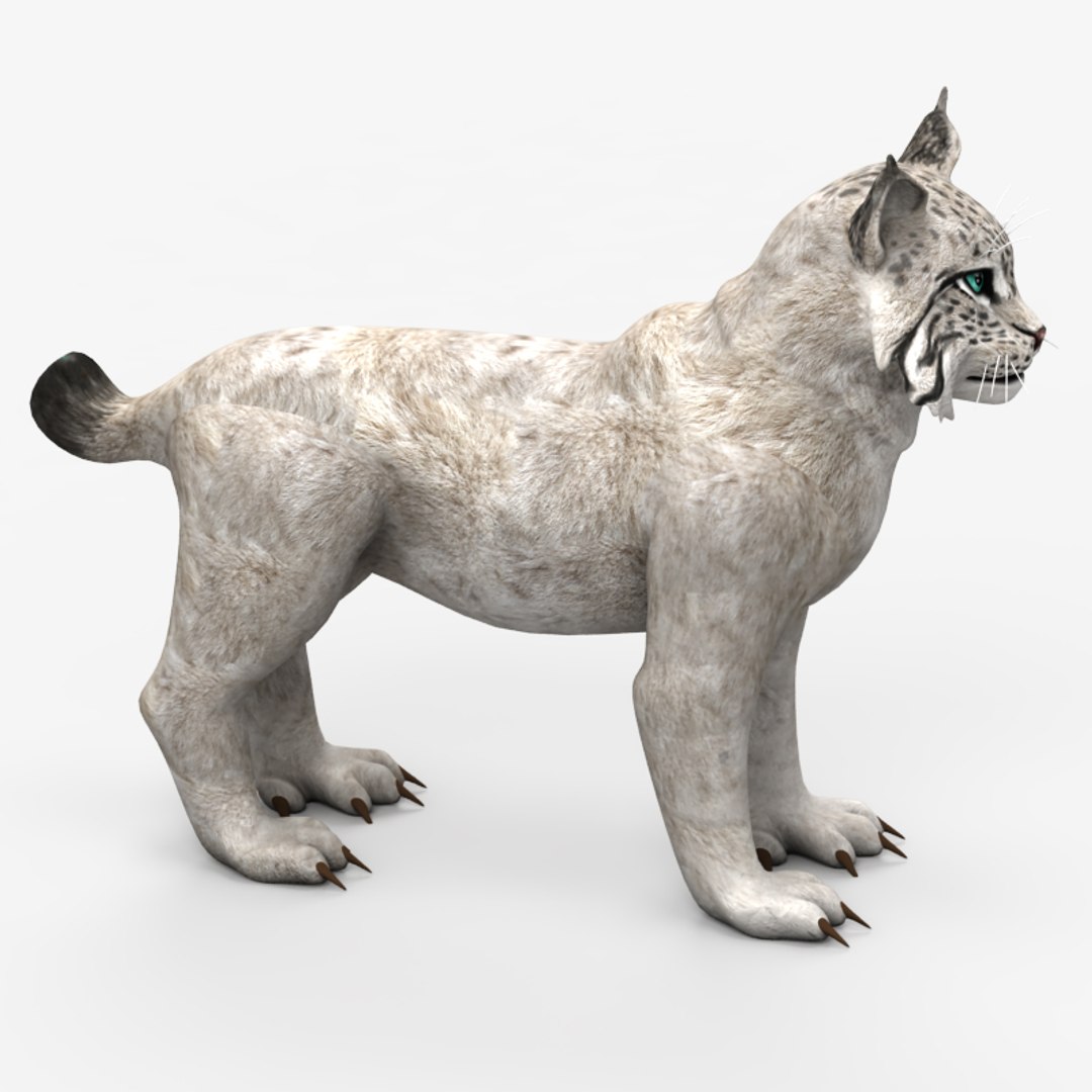 3d Lynx