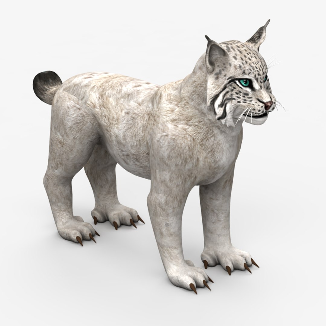 3d Lynx