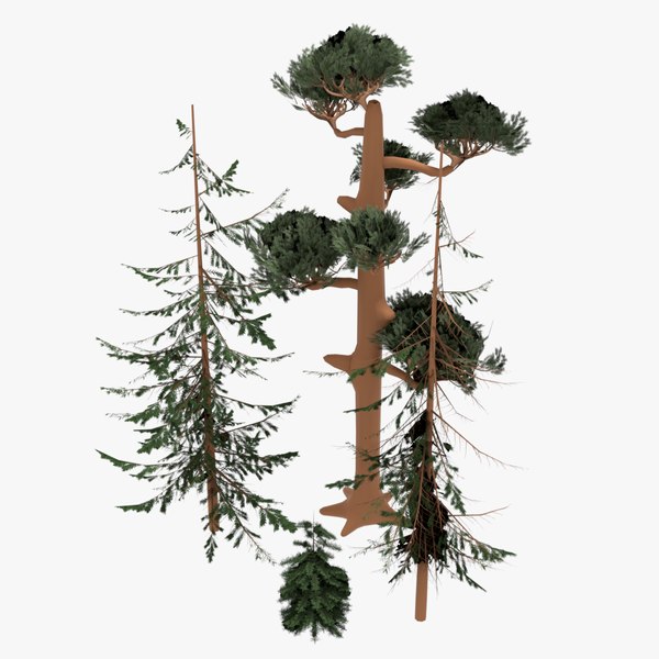 Blender Pine-Tree Models | TurboSquid
