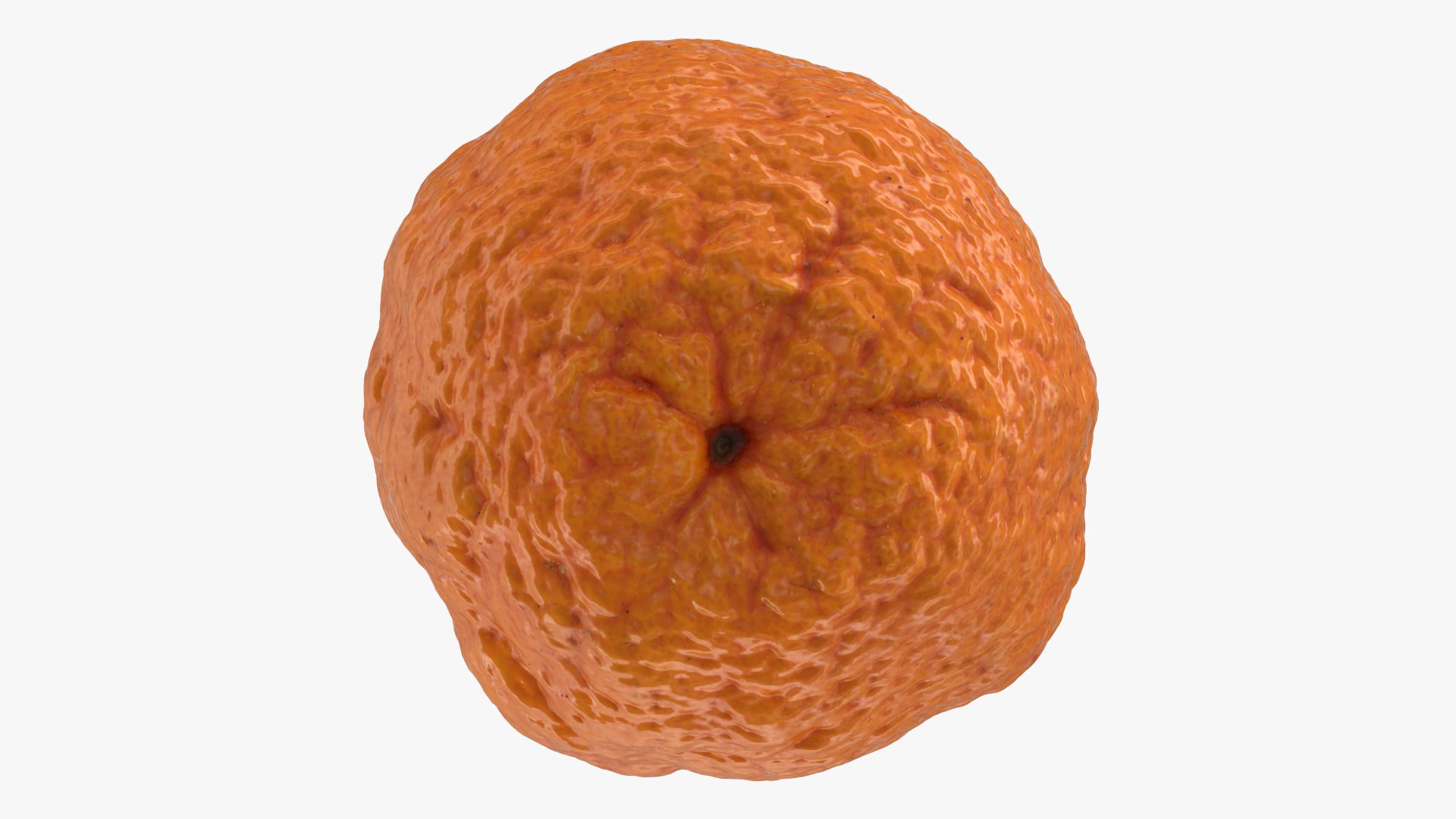 Dekopon Orange 01 3D - TurboSquid 2434716