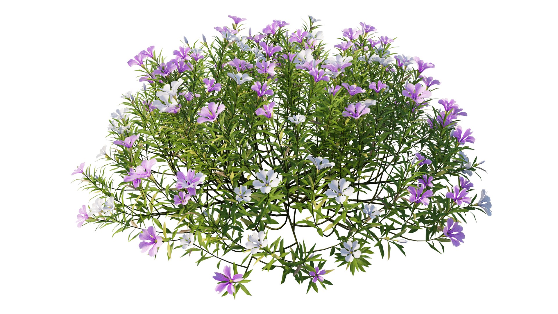 Plant Flower Set 18 3D Model - TurboSquid 1540626
