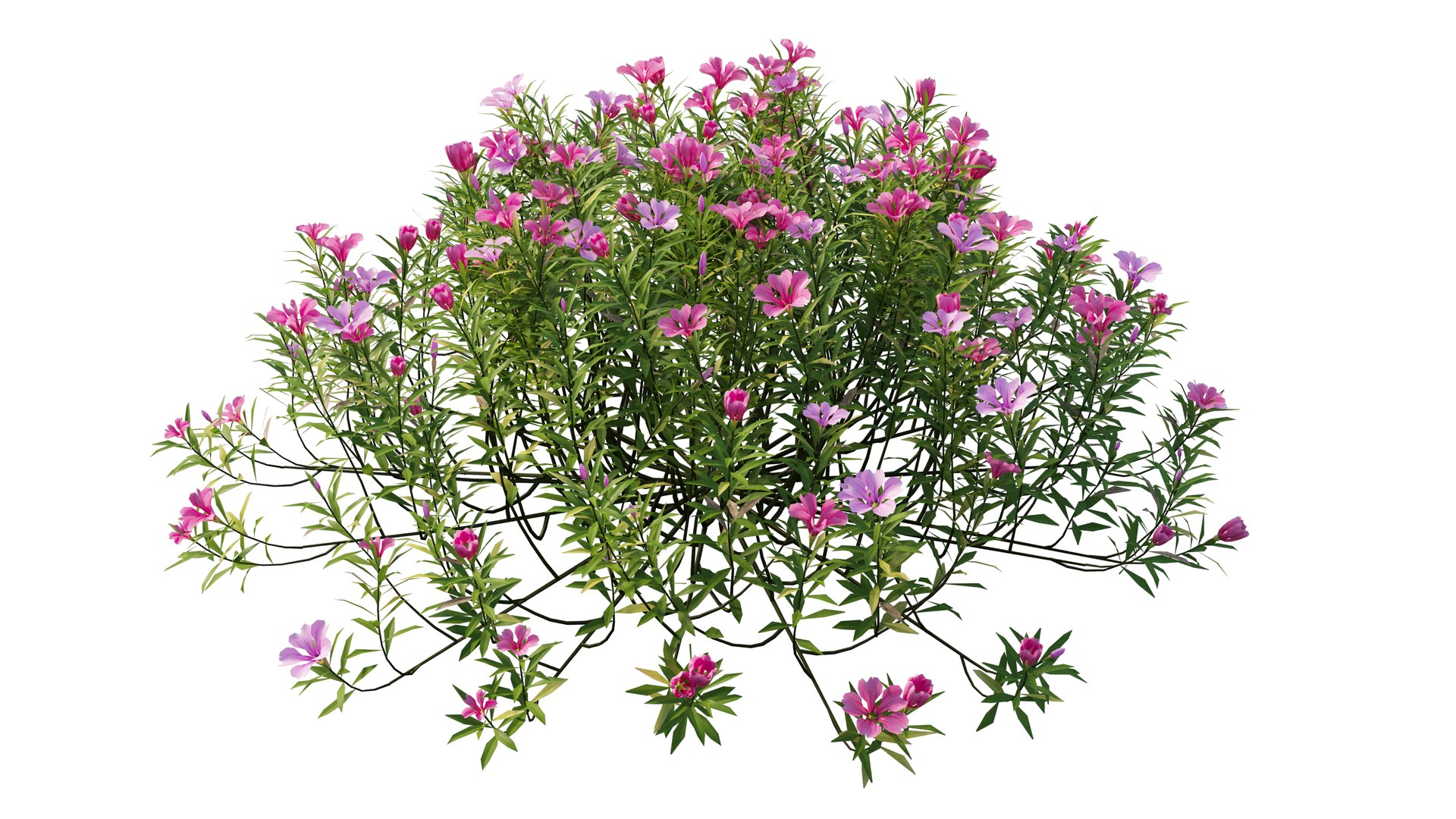 Plant Flower Set 18 3D Model - TurboSquid 1540626