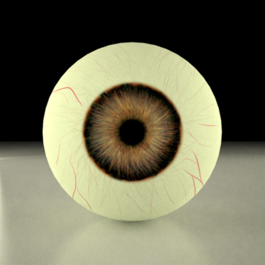 3d Brown Eye Model