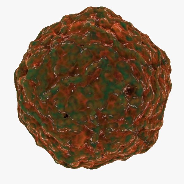 Paralysis Virus 3ds Max Models for Download | TurboSquid