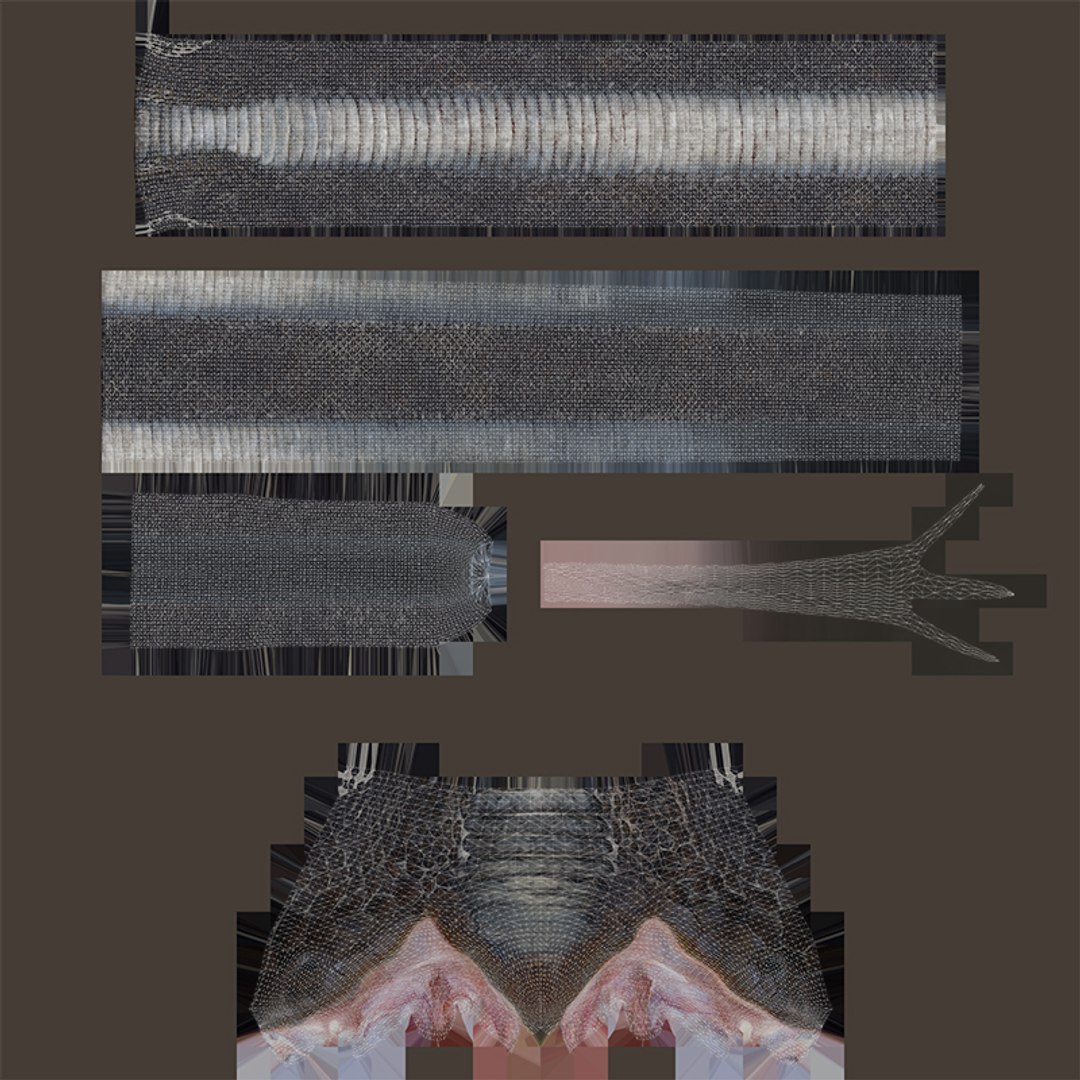 Snake Rig 3D - TurboSquid 1314669