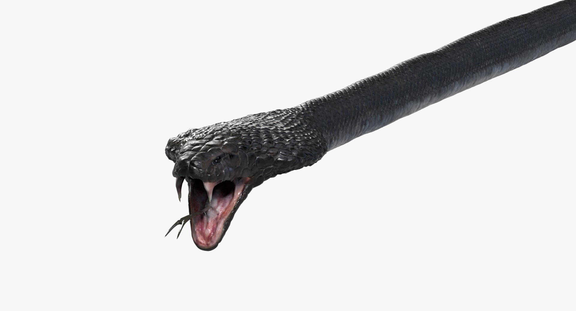 Snake Rig 3D - TurboSquid 1314669