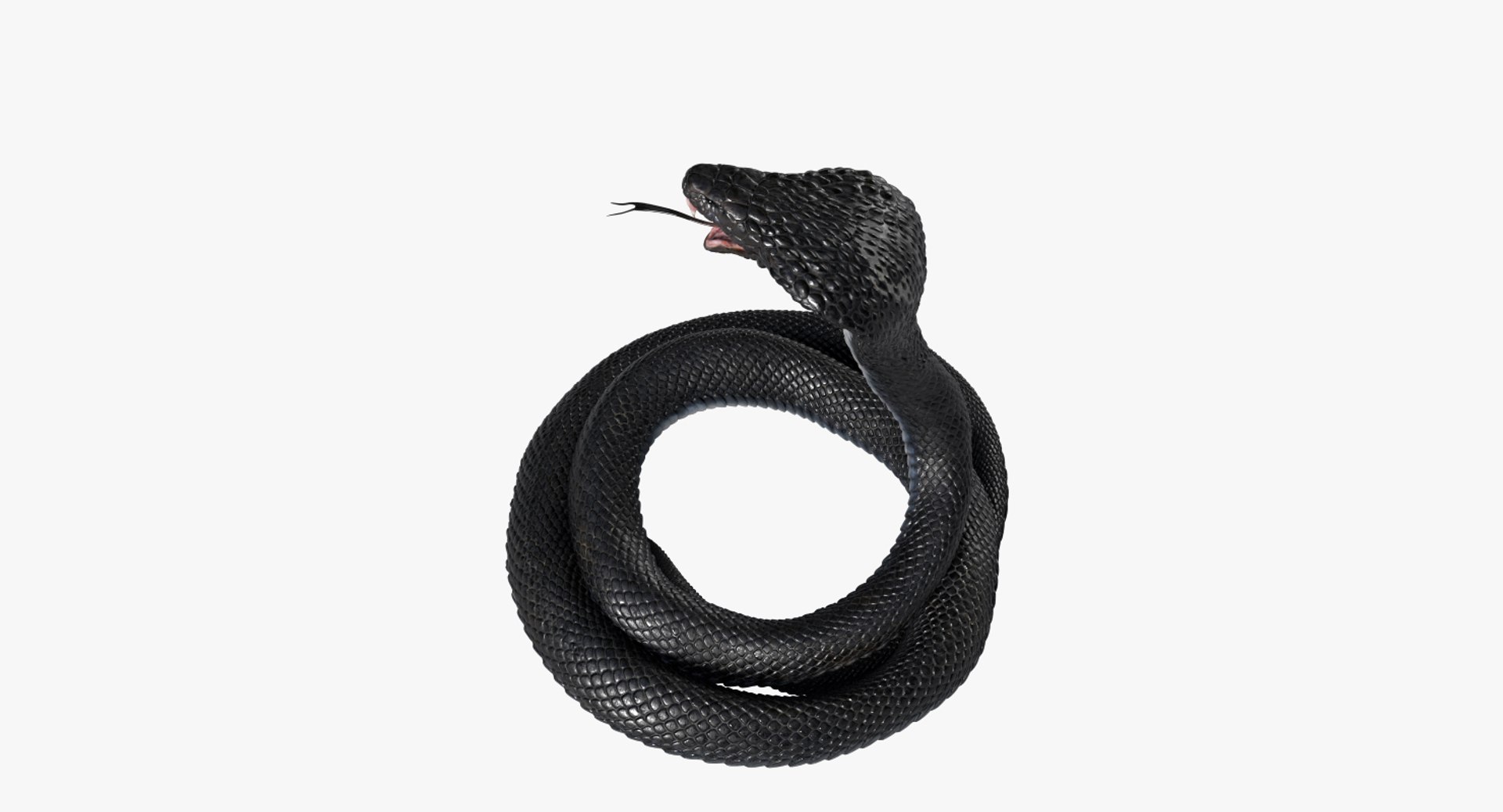 Snake Rig 3D - TurboSquid 1314669