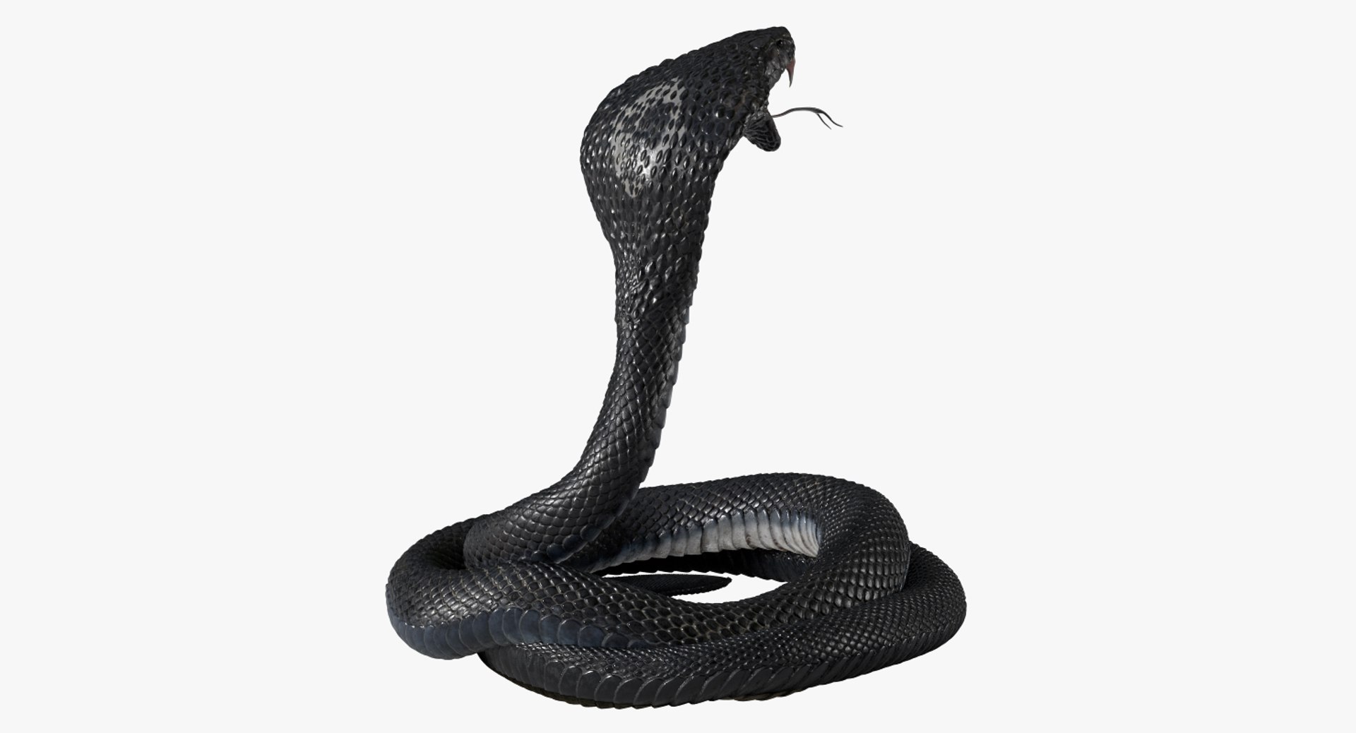 Snake Rig 3D - TurboSquid 1314669