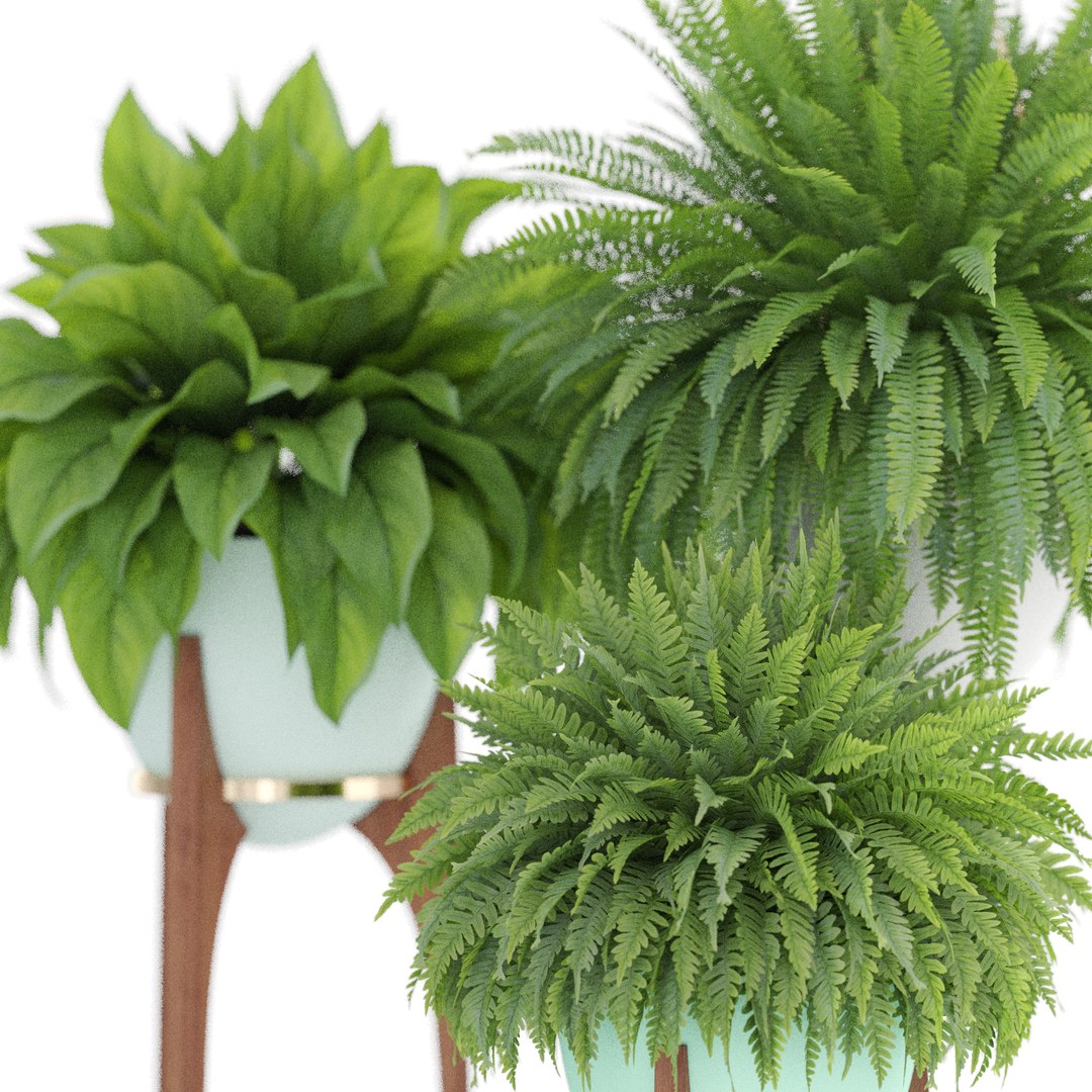 3D Model Plants Collection 917 - TurboSquid 2044101