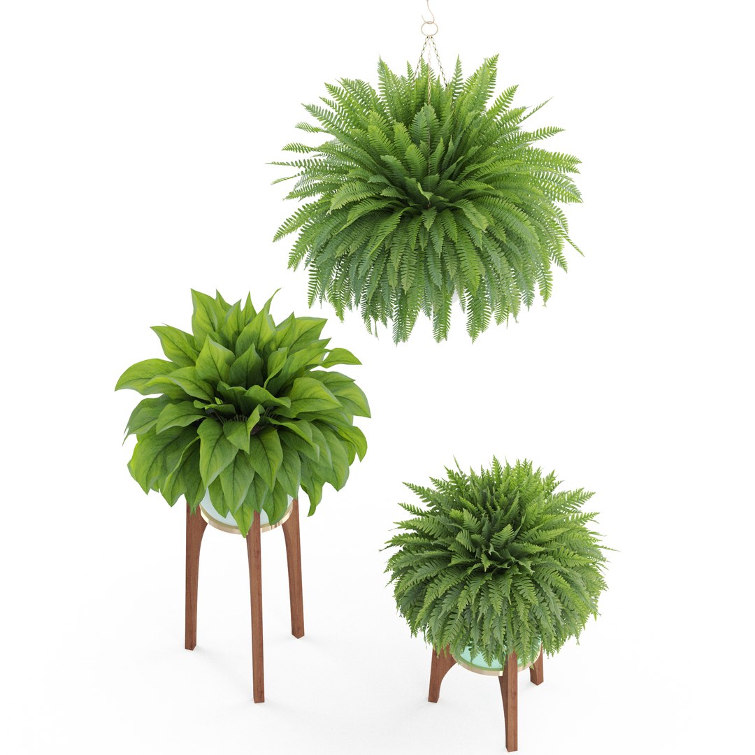 3D Model Plants Collection 917 - TurboSquid 2044101
