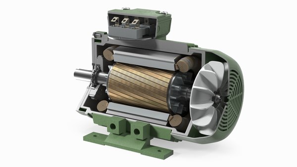modelo 3d Sección transversal del motor eléctrico verde - TurboSquid ...