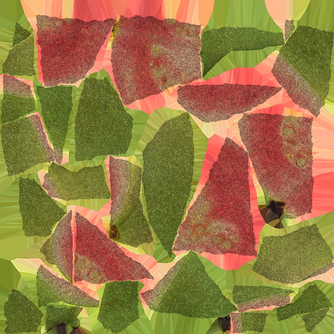 Slice Pink Guava 01 Raw Scan 3D Model - TurboSquid 2425134