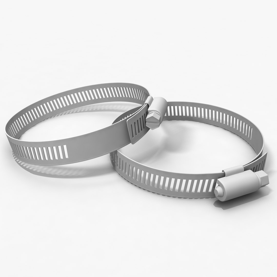 3d Hose Clamp