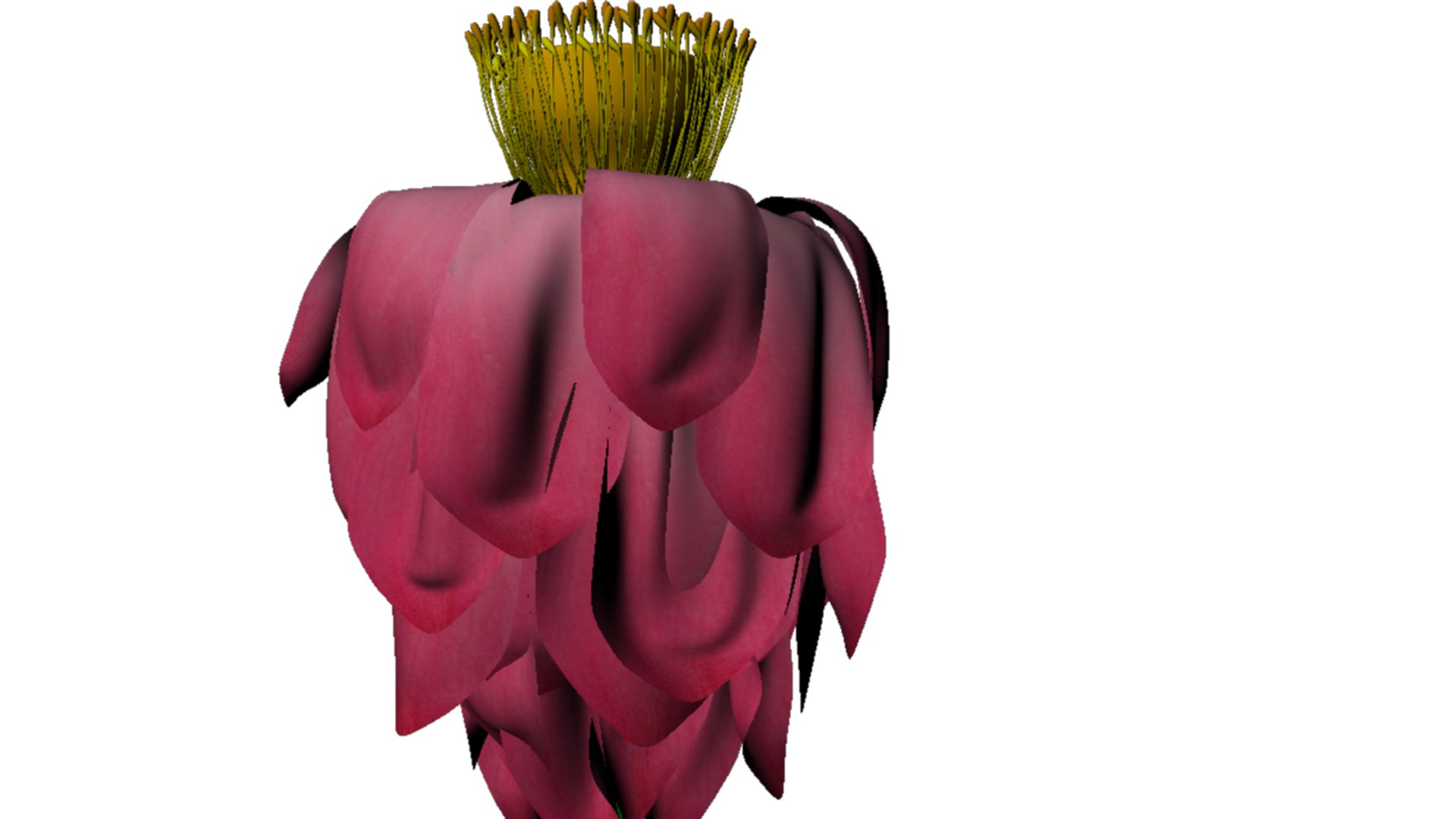 Free Ma Model Flower Rig