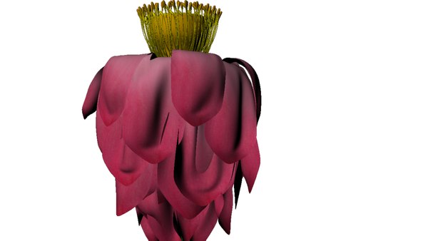 free ma model flower rig