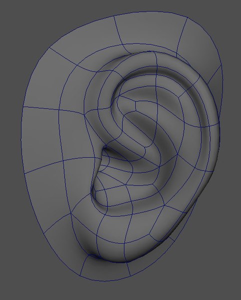 3d basic ear model