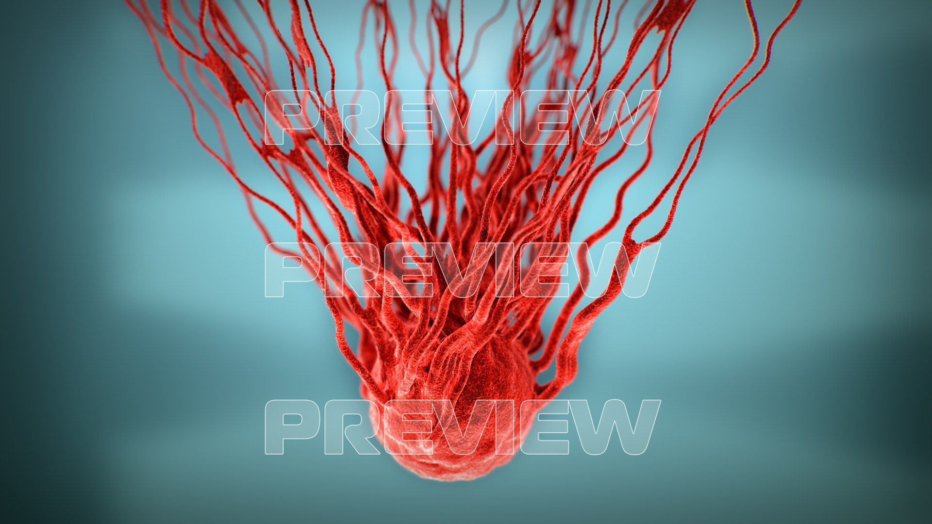 Cancer Growth Static Sequence 3D Model - TurboSquid 1209123