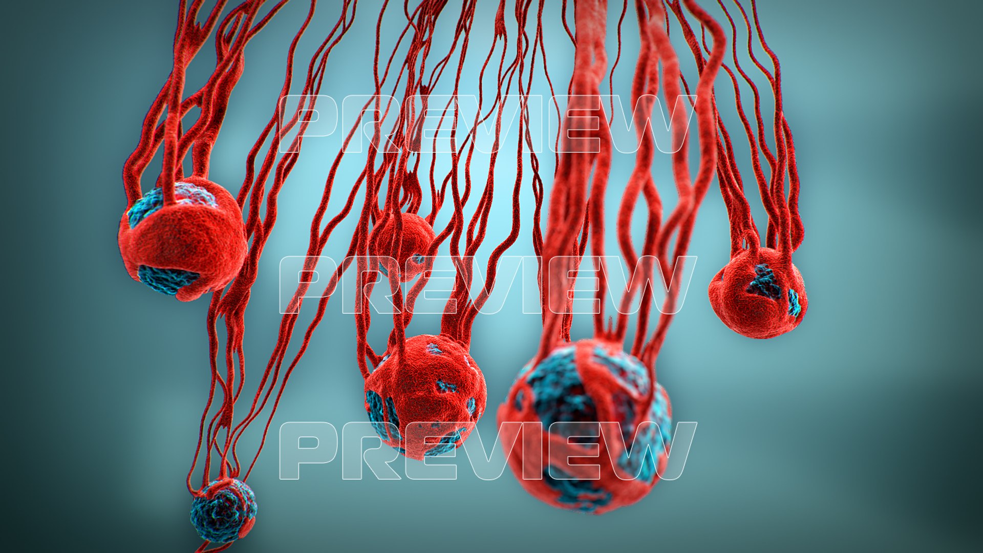 Cancer Growth Static Sequence 3D Model - TurboSquid 1209123