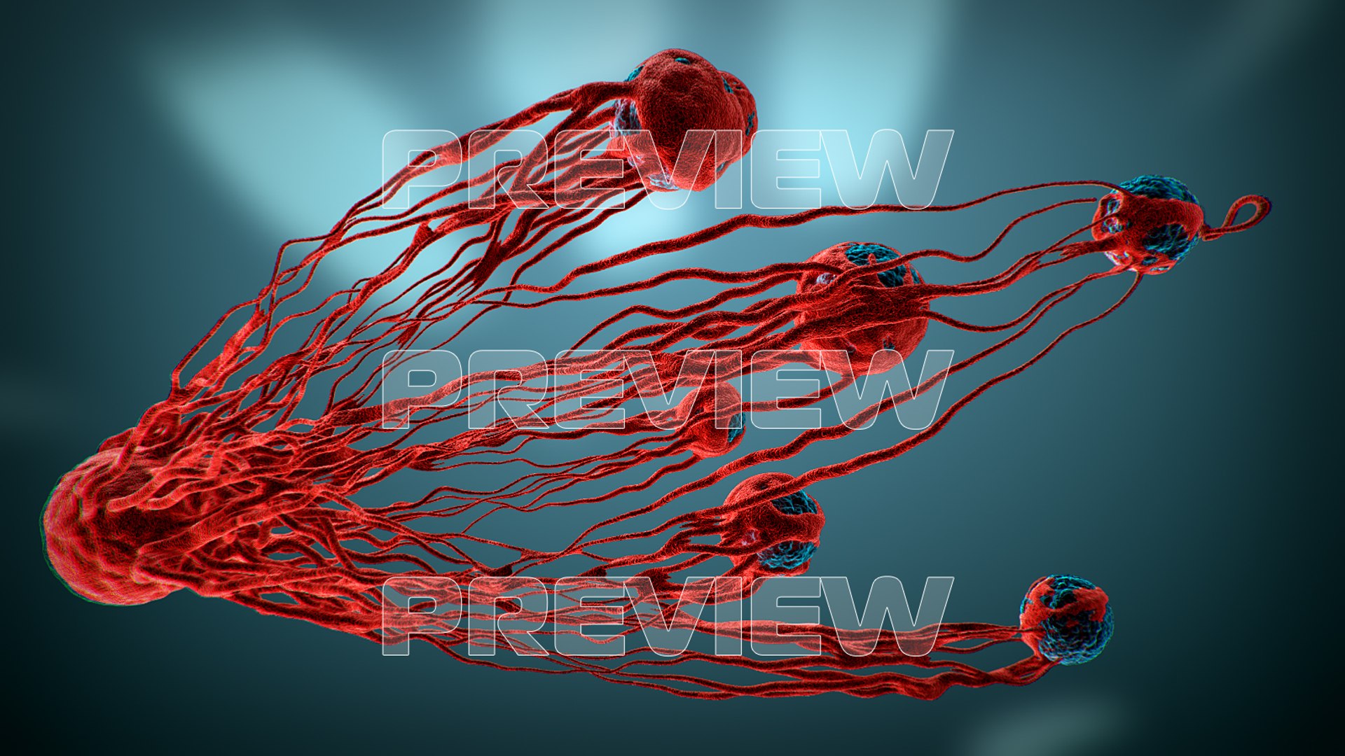Cancer Growth Static Sequence 3D Model - TurboSquid 1209123