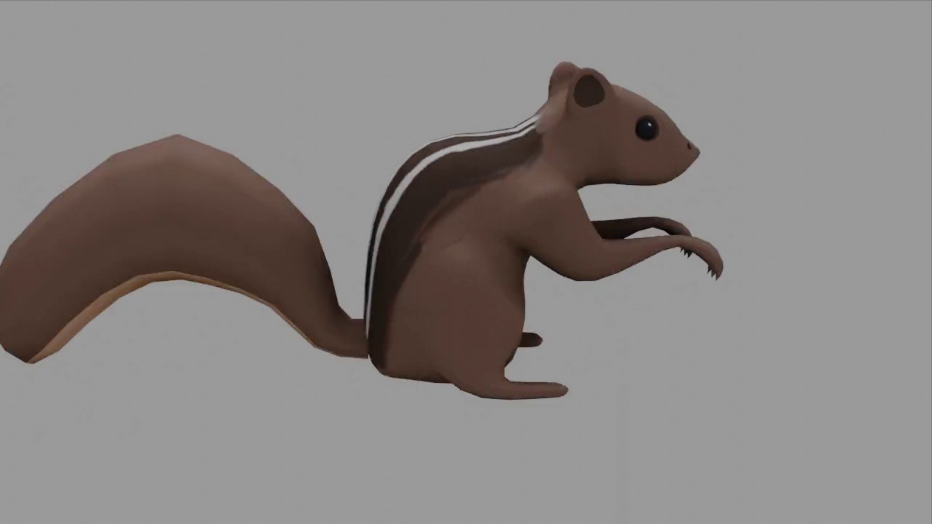 3D Squirrel - Low Poly - TurboSquid 1931011