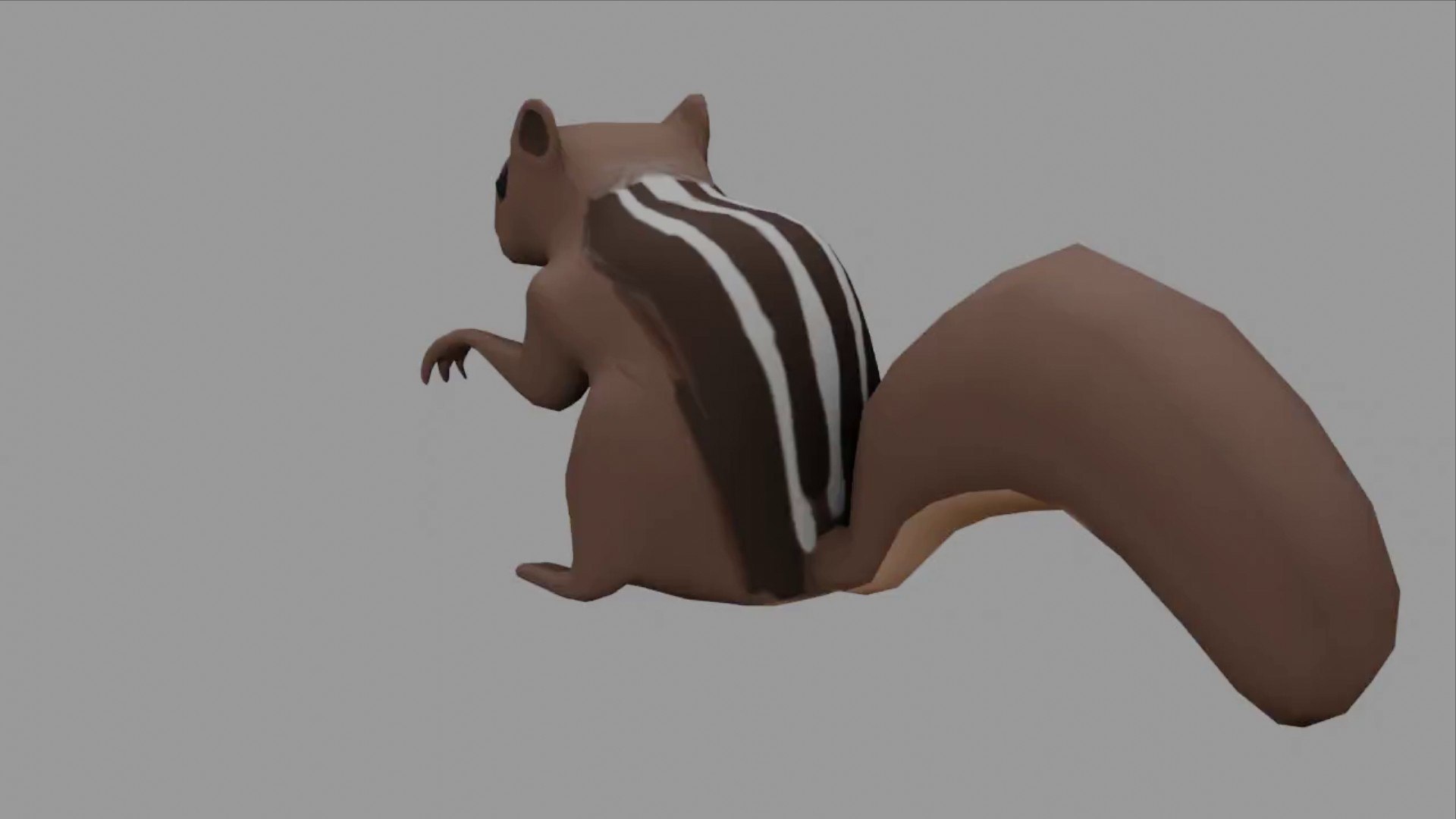 3D Squirrel - Low Poly - TurboSquid 1931011