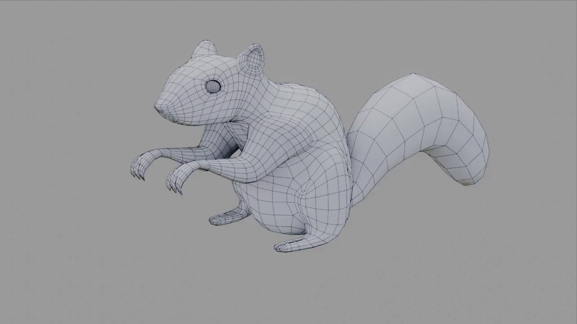 3D Squirrel - Low Poly - TurboSquid 1931011