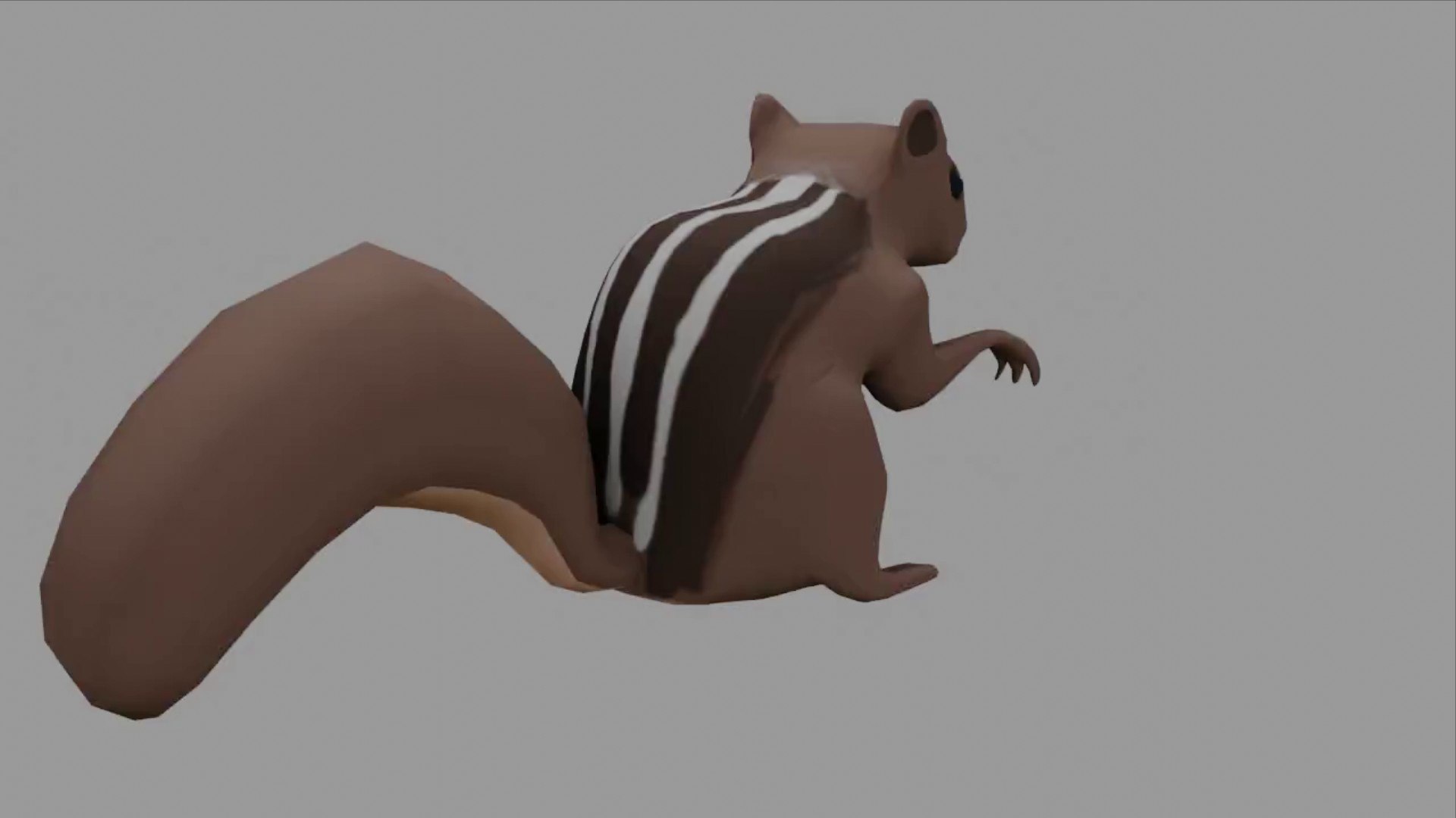 3D Squirrel - Low Poly - TurboSquid 1931011