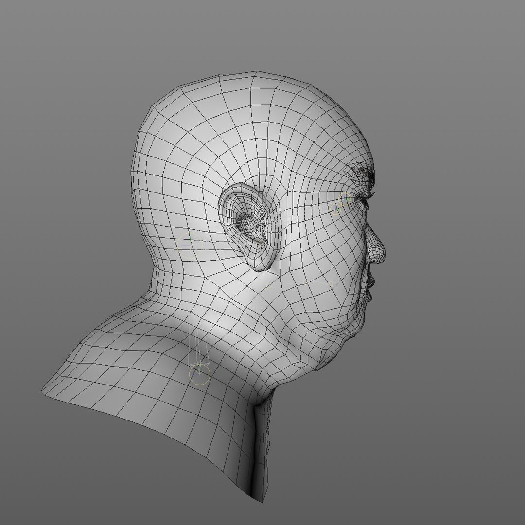 Realistic head base mesh 3D model - TurboSquid 1440281