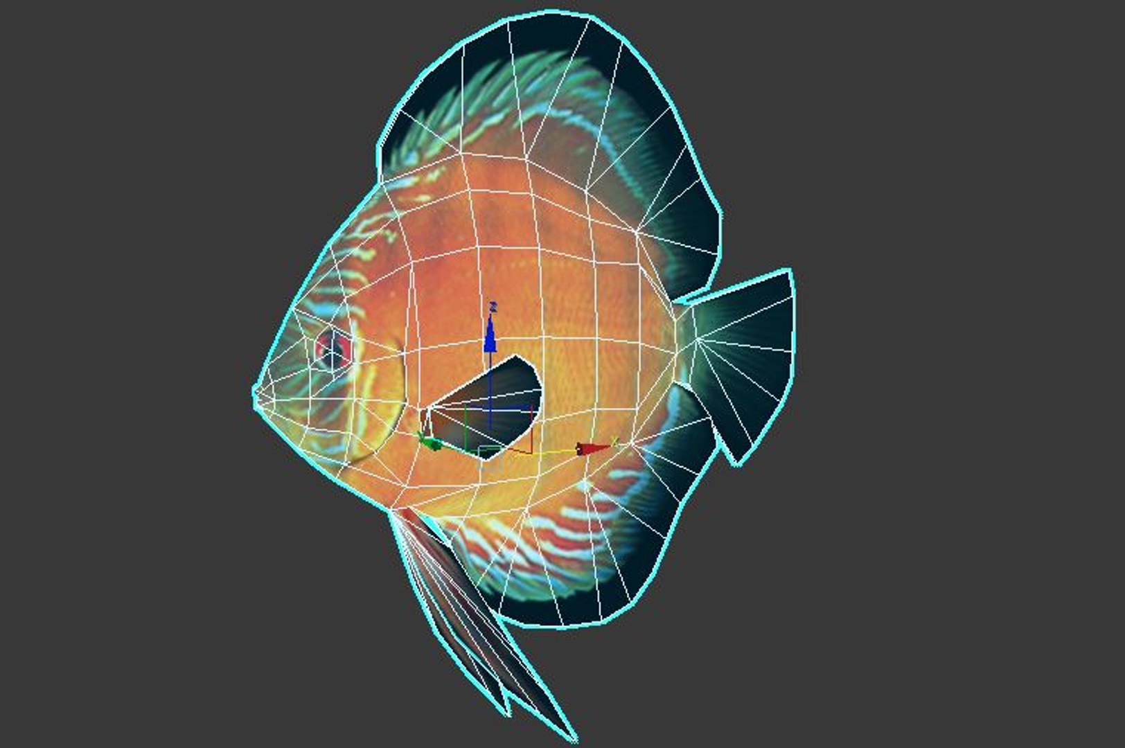Alenquer Discus Fish 3D Model - TurboSquid 1384321