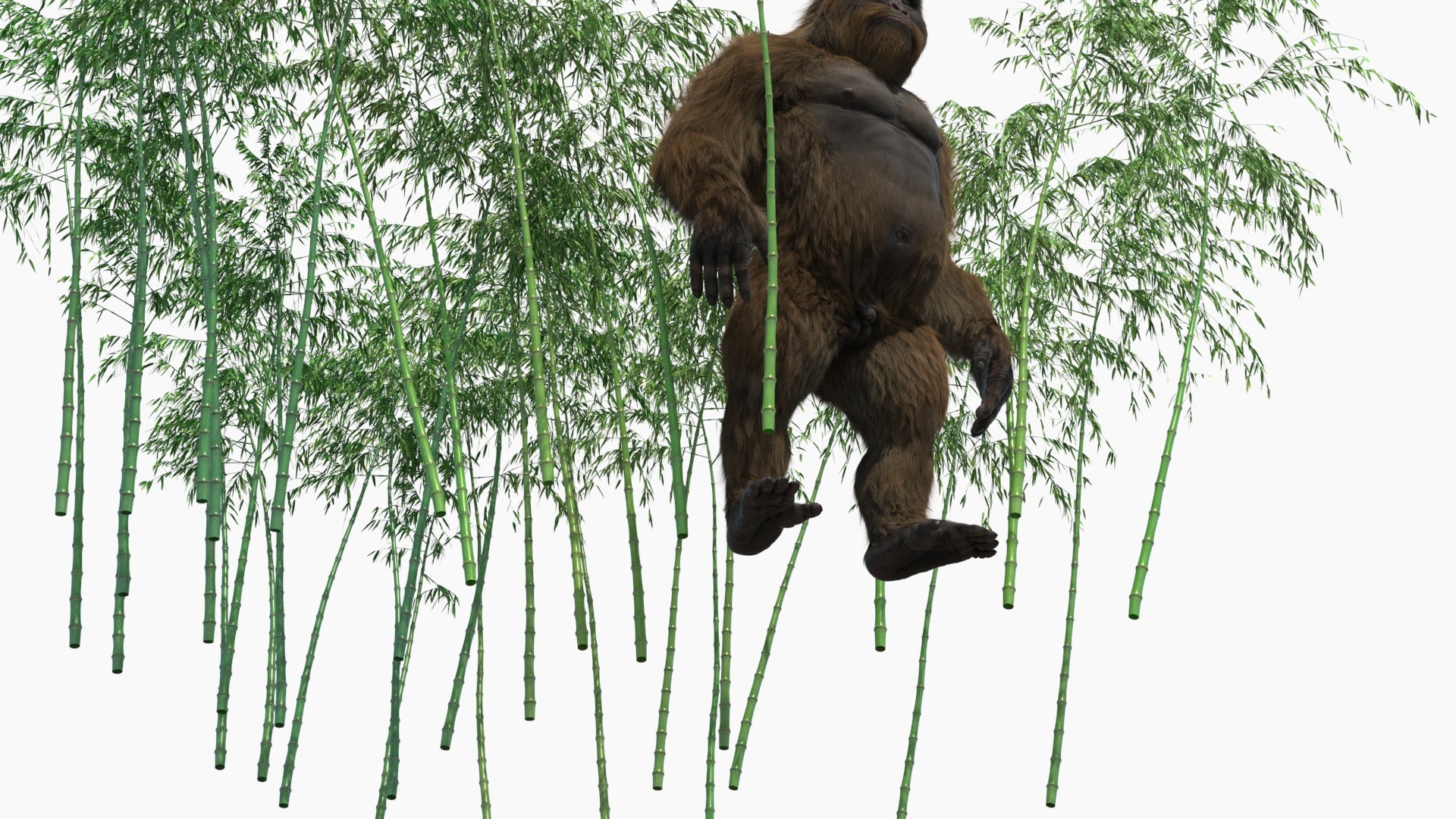 3D Model Big Ape Gigantopithecus In Bamboo Grove Fur - TurboSquid 2311895
