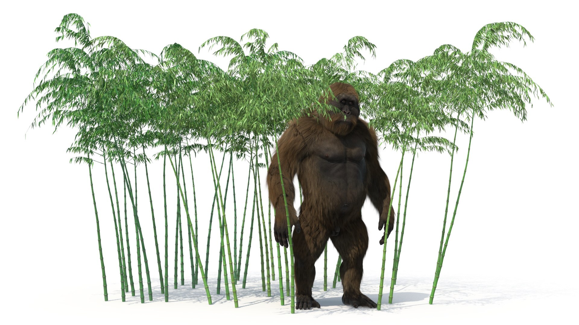 3D Model Big Ape Gigantopithecus In Bamboo Grove Fur - TurboSquid 2311895