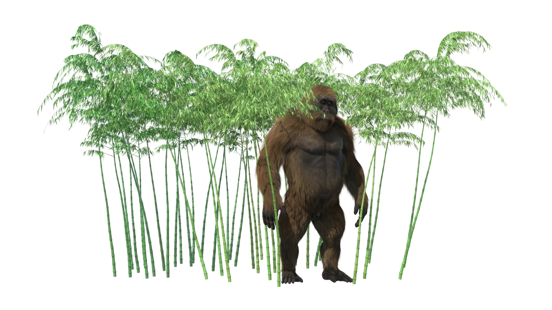 3D Model Big Ape Gigantopithecus In Bamboo Grove Fur - TurboSquid 2311895