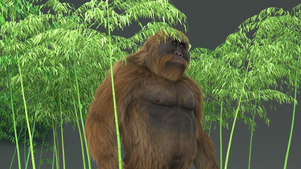 modelo 3d El gran simio Gigantopithecus en el bosque de bambú - TurboSquid 2311895
