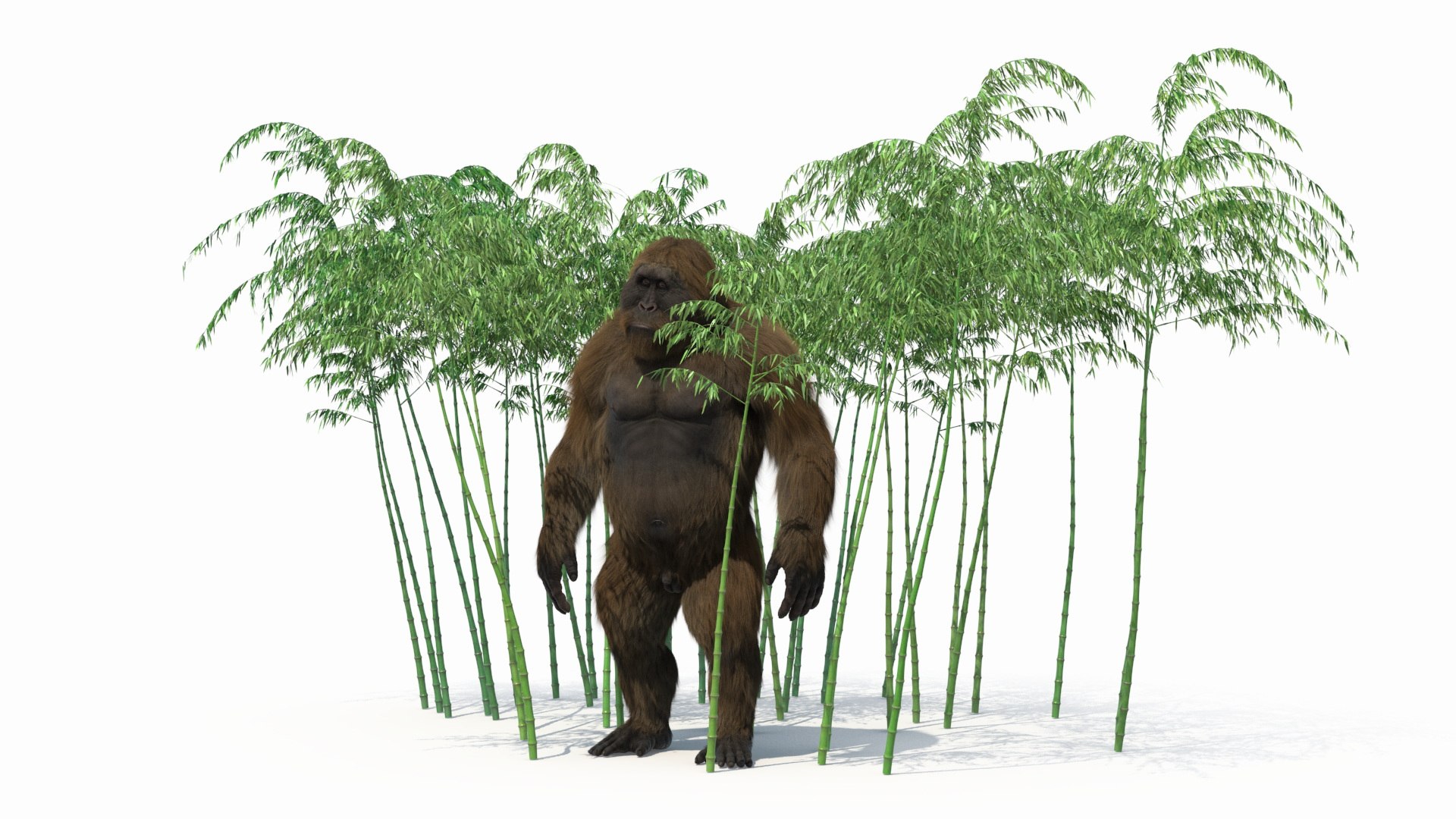 3D Model Big Ape Gigantopithecus In Bamboo Grove Fur - TurboSquid 2311895