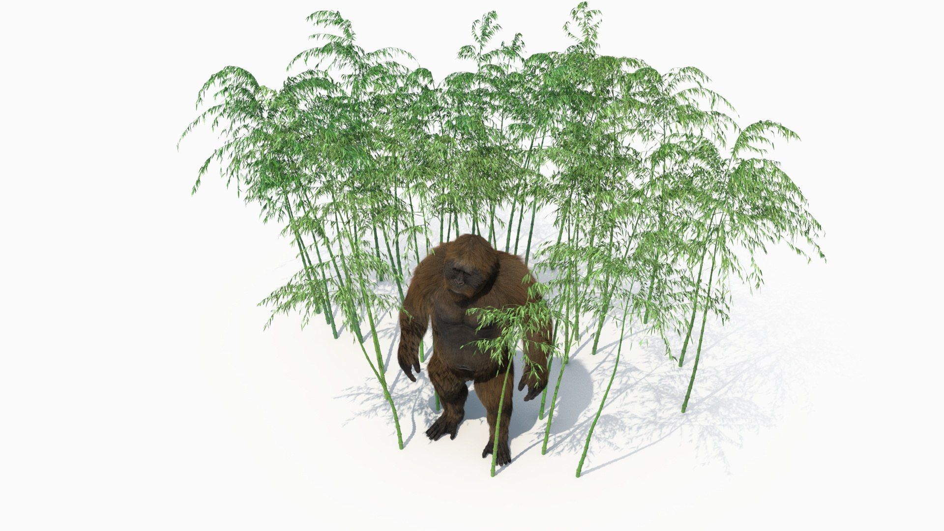 3D Model Big Ape Gigantopithecus In Bamboo Grove Fur - TurboSquid 2311895