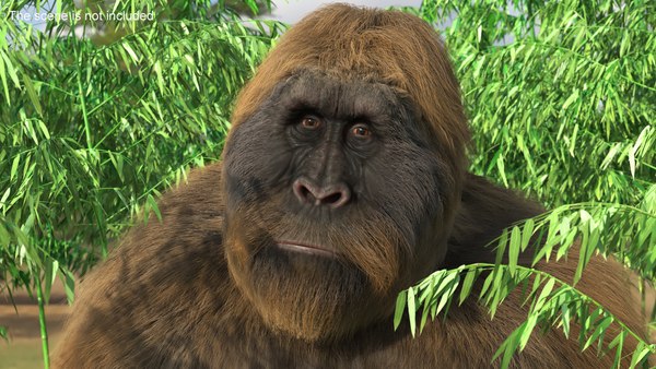 modelo 3d El gran simio Gigantopithecus en el bosque de bambú - TurboSquid 2311895