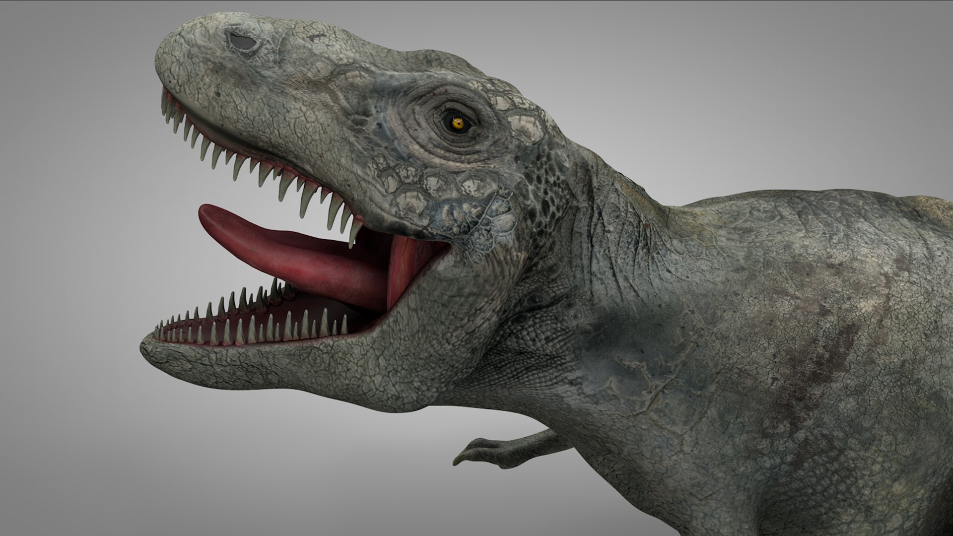 Rex l986 animate 3D model - TurboSquid 1630786