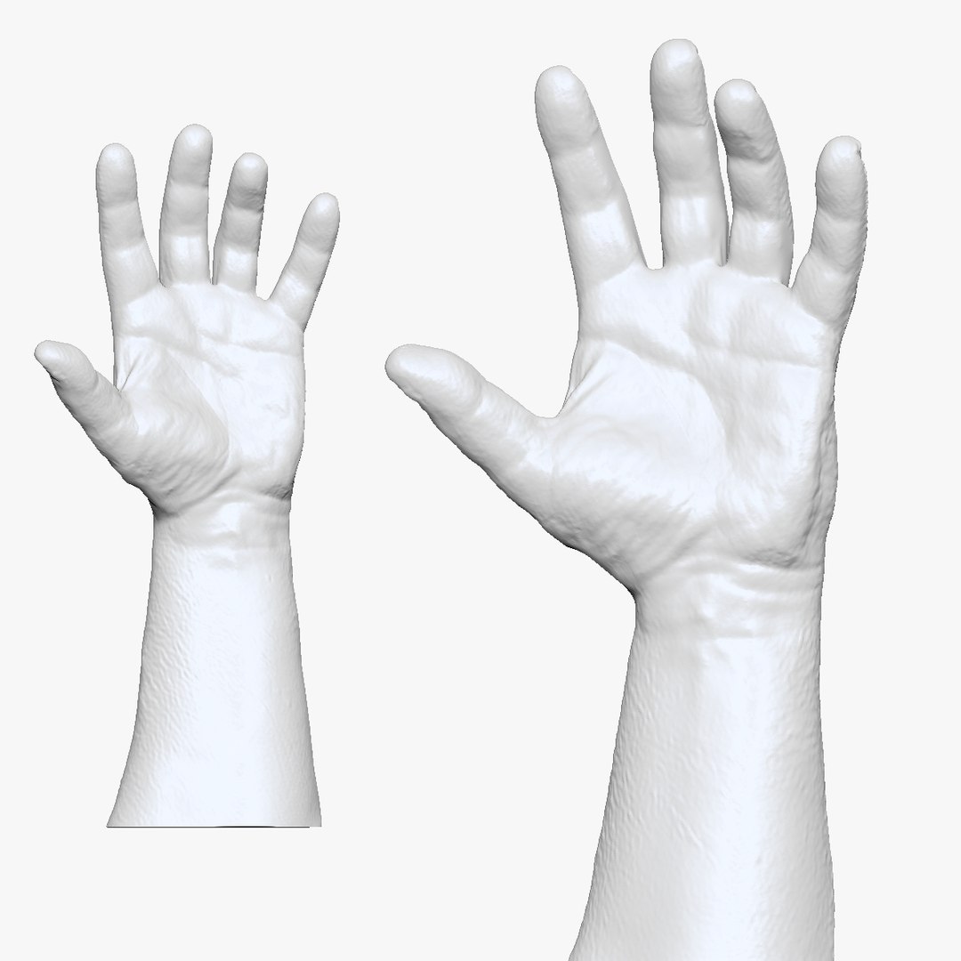 001183 opened hand 3D model - TurboSquid 1734809