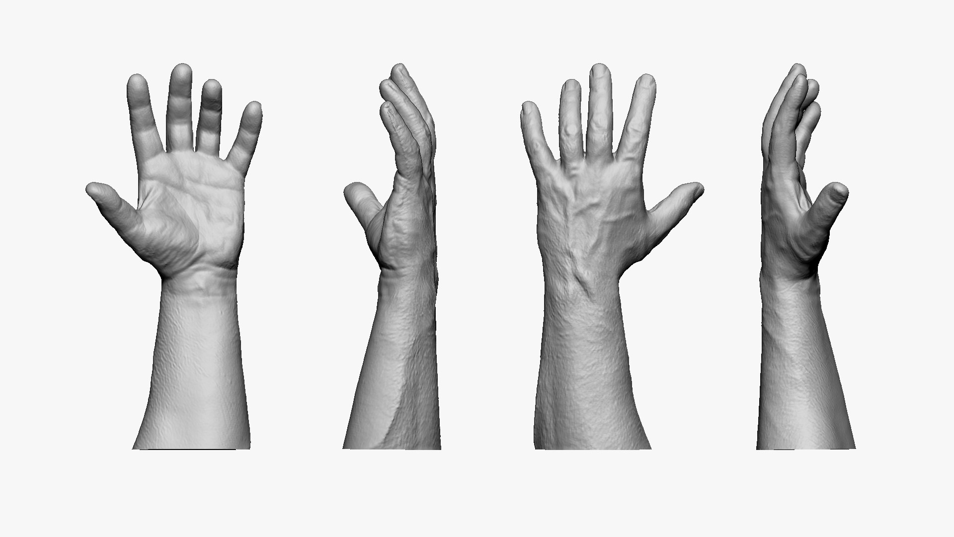 001183 opened hand 3D model - TurboSquid 1734809