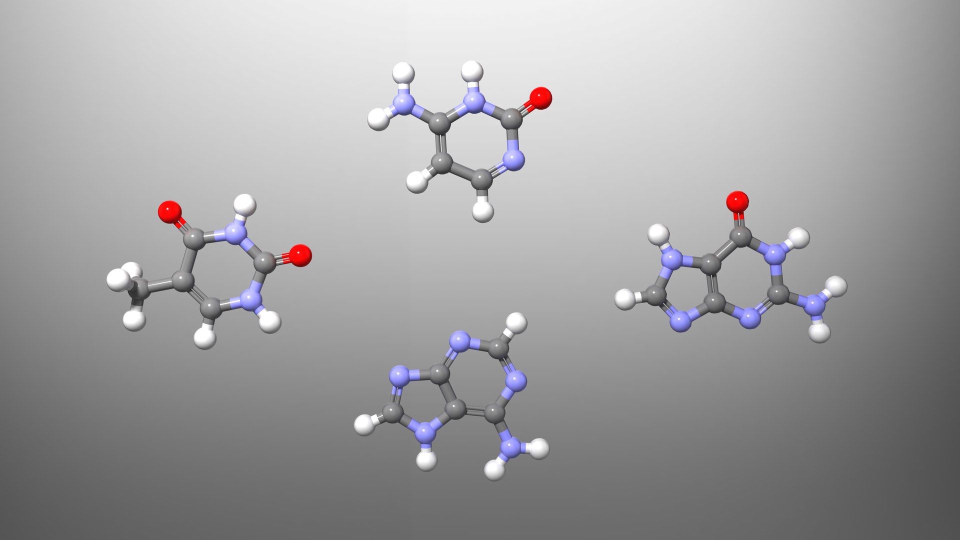 ACGT Nucleobases 3D - TurboSquid 2043725