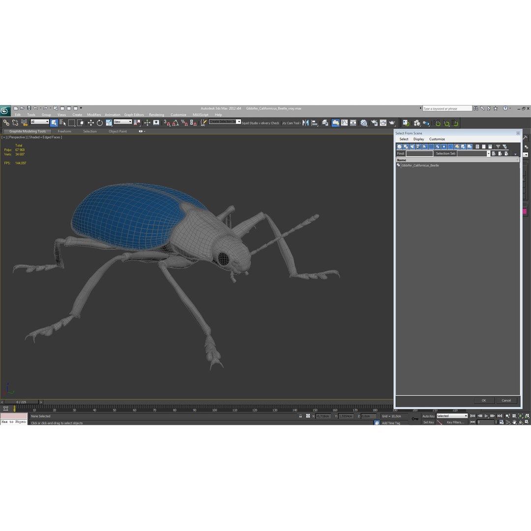 3d Gibbifer Californicus Beetle