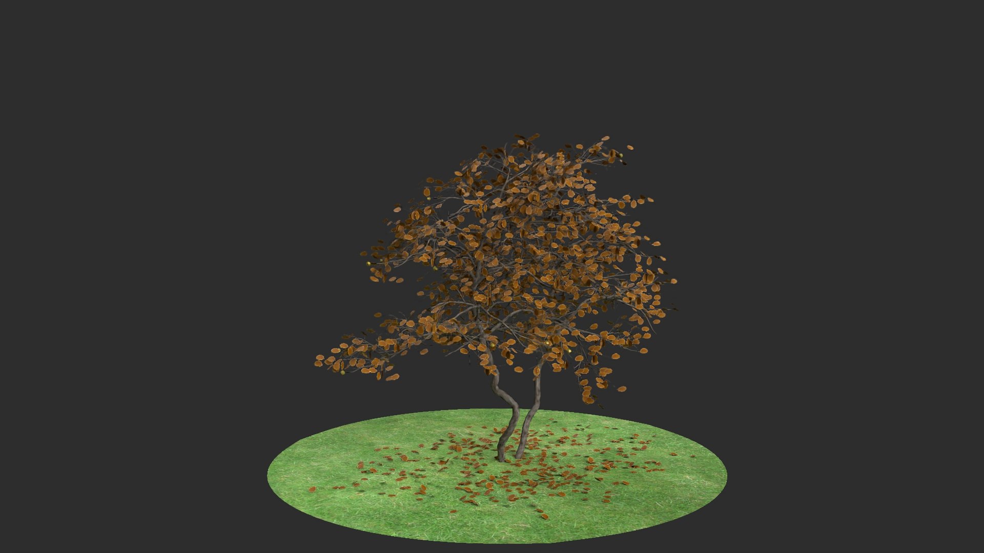 Hazelnut Autumn Hight 3D Model - TurboSquid 1625964