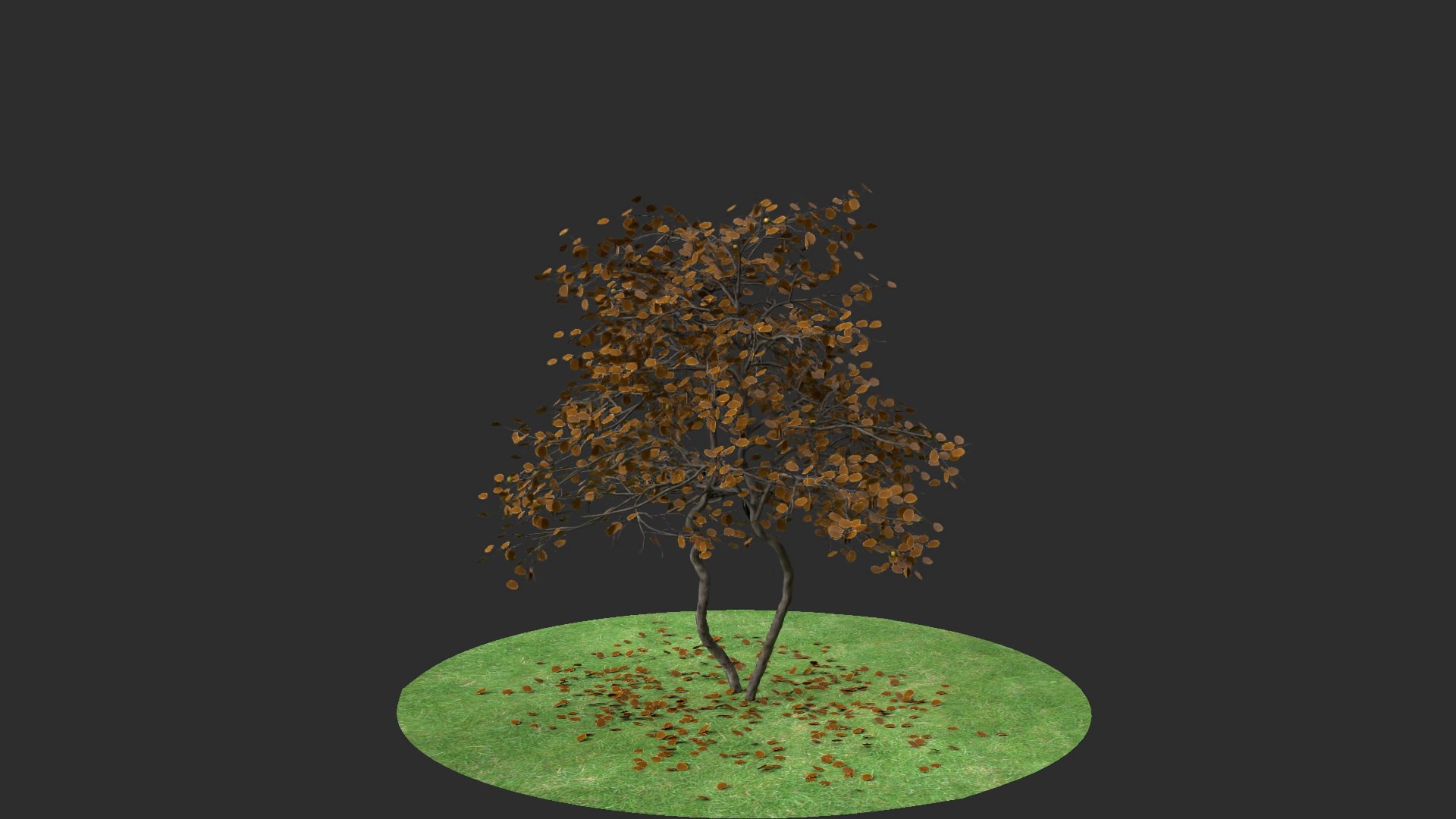 Hazelnut Autumn Hight 3D Model - TurboSquid 1625964