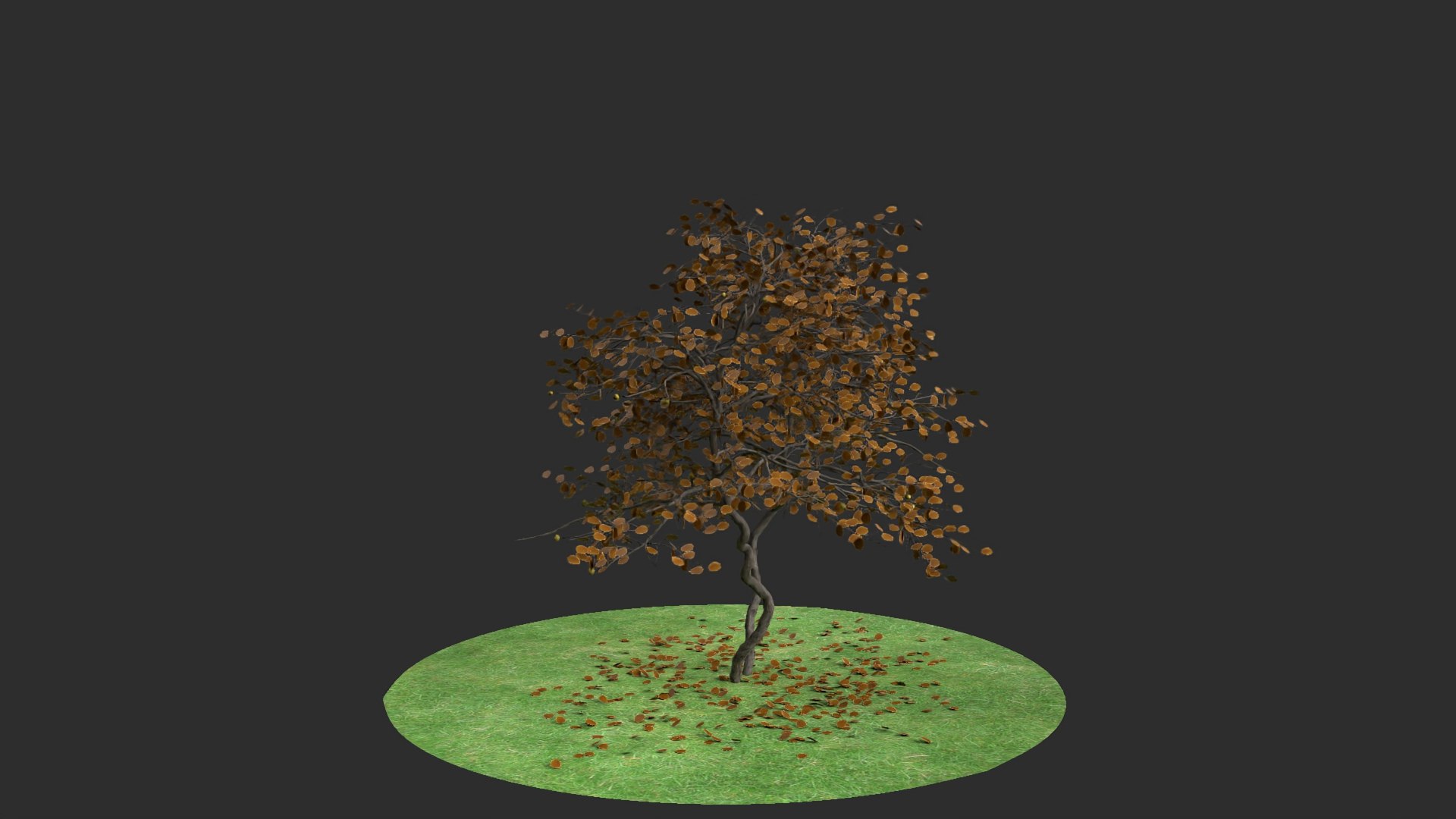 Hazelnut Autumn Hight 3D Model - TurboSquid 1625964