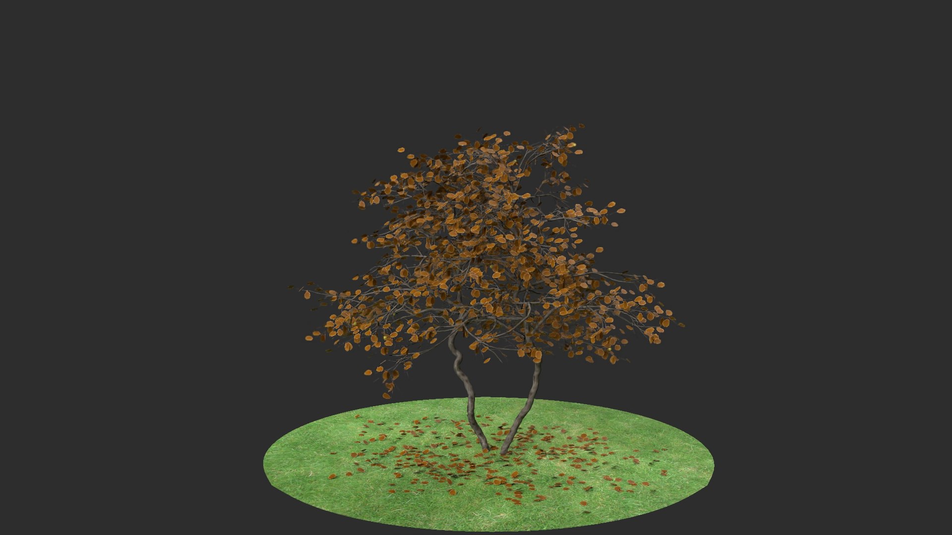 Hazelnut Autumn Hight 3D Model - TurboSquid 1625964