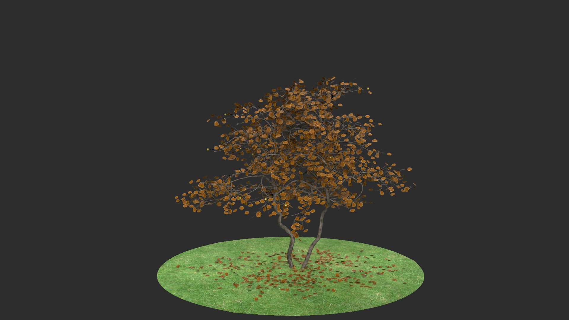 Hazelnut Autumn Hight 3D Model - TurboSquid 1625964